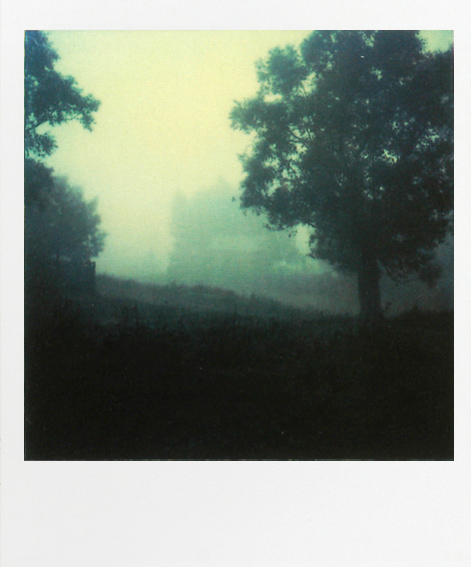 Andrei Tarkovsky Polaroids / Journal / Nothing Major